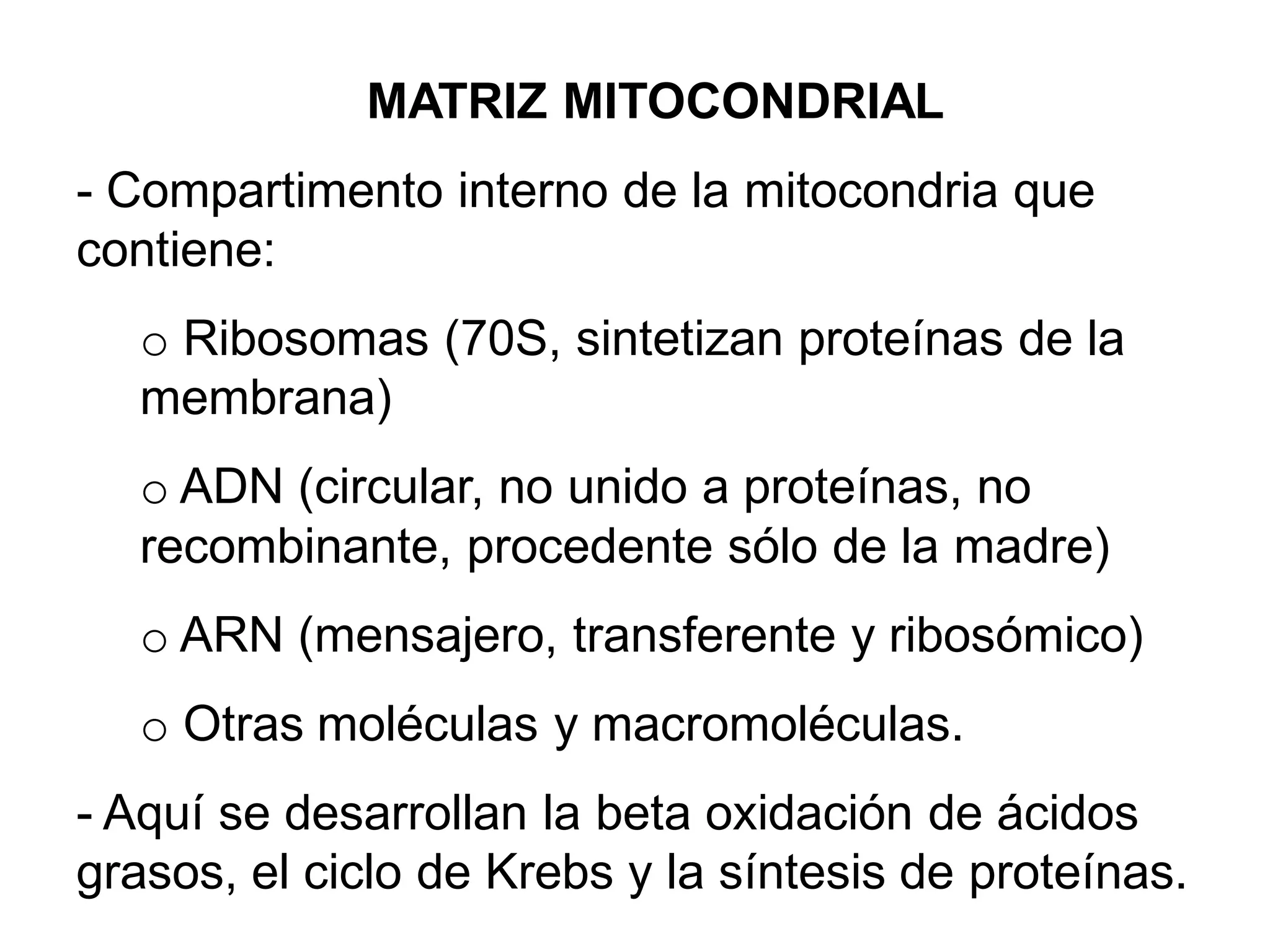 Mitocondria | PDF | Endocrine and Metabolic Diseases | Diseases and ...
