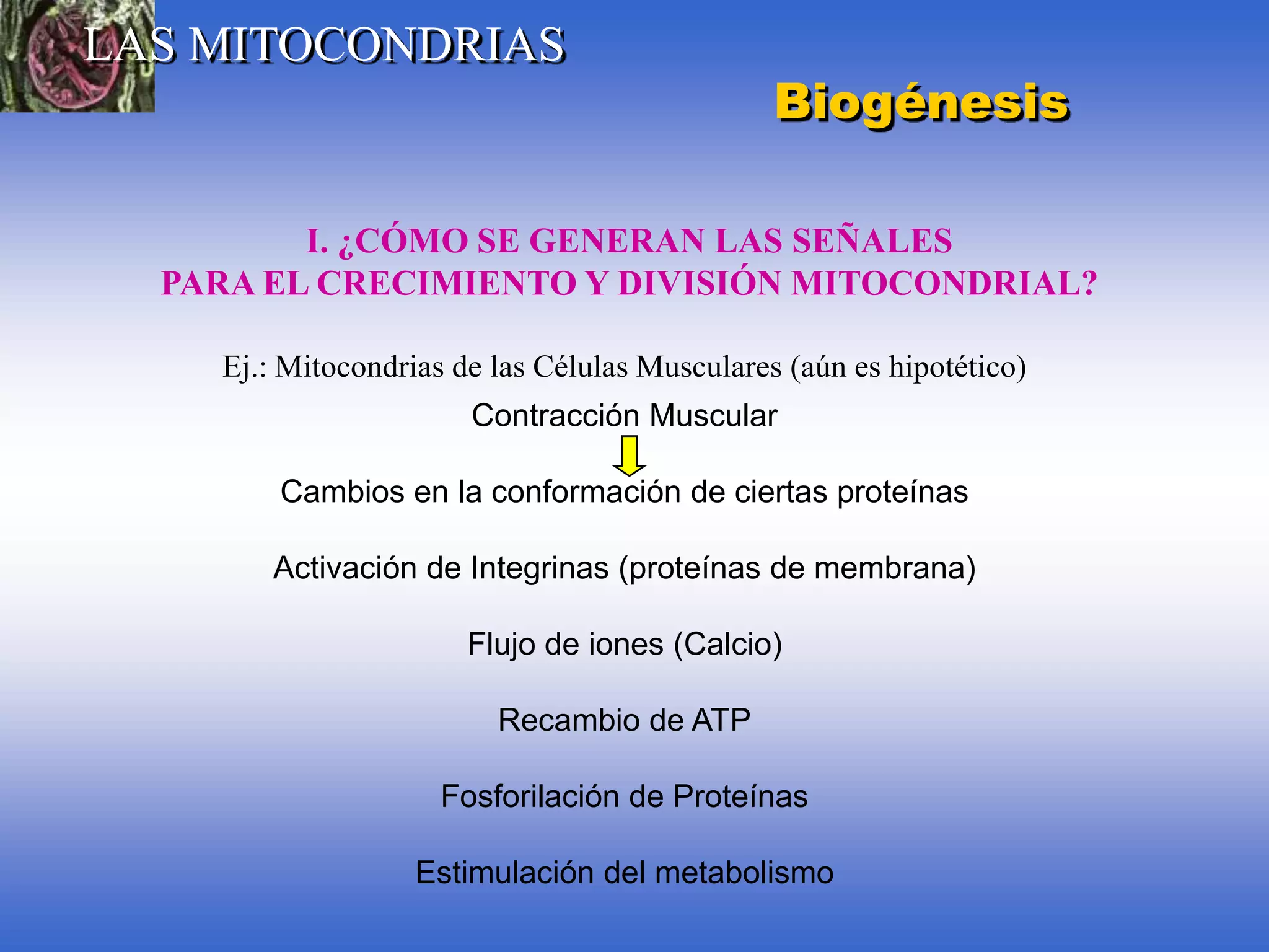 Mitocondrias y respiración celular | PPTX | Endocrine and Metabolic ...
