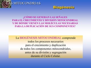 Mitocondrias y respiración celular | PPTX
