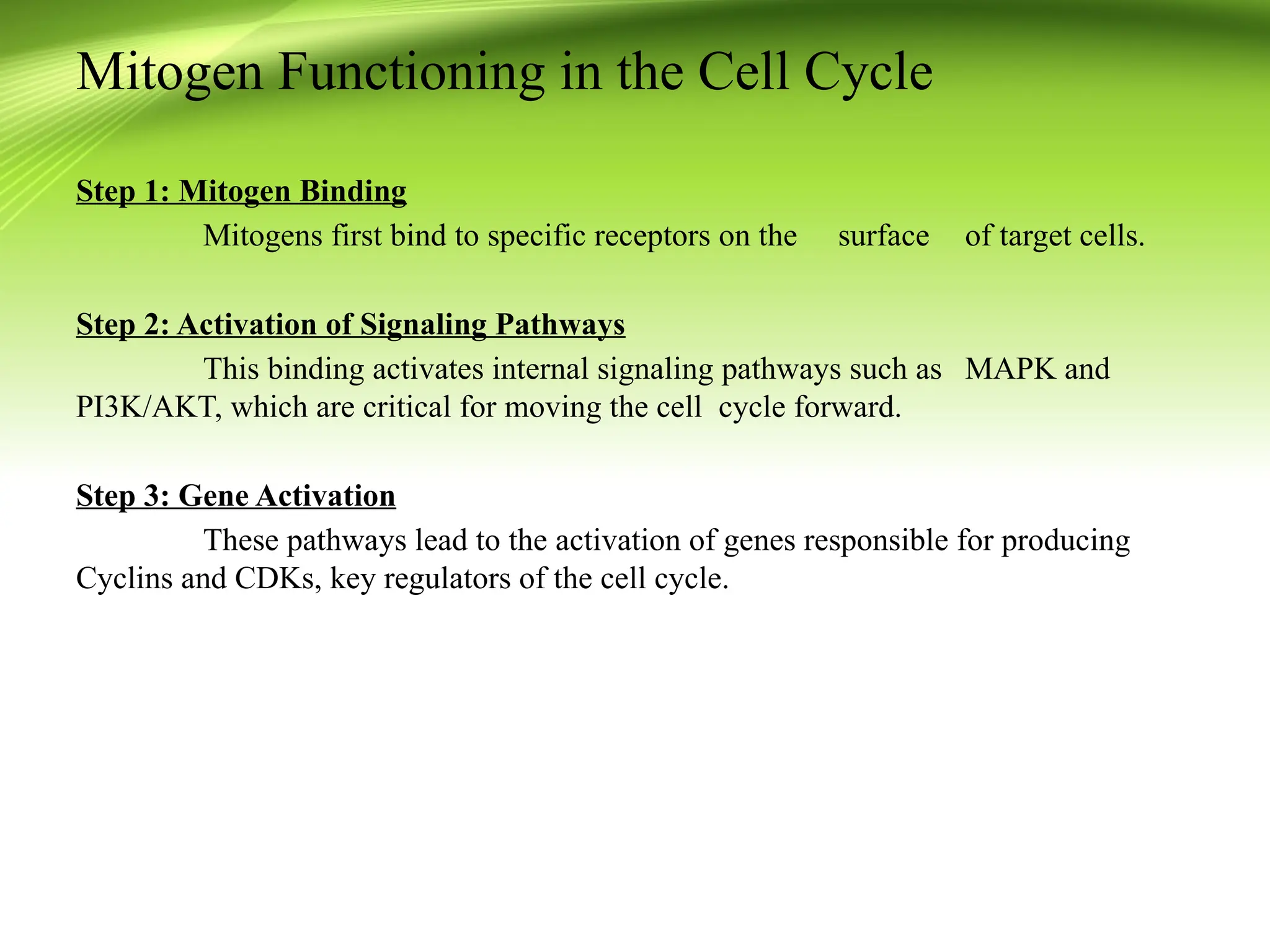 Mitogens plant cellular signaling .pptx