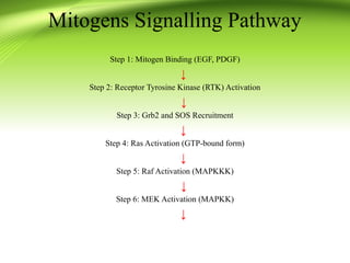 Mitogens plant cellular signaling .pptx