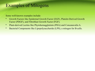 Mitogens plant cellular signaling .pptx
