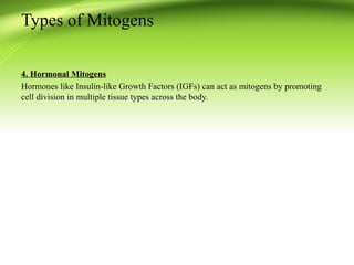 Mitogens plant cellular signaling .pptx