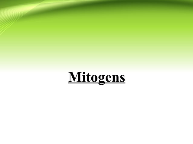 Mitogens plant cellular signaling .pptx