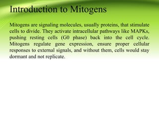 Mitogens plant cellular signaling .pptx