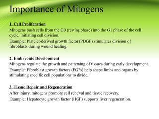Mitogens plant cellular signaling .pptx