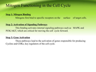 Mitogens plant cellular signaling .pptx