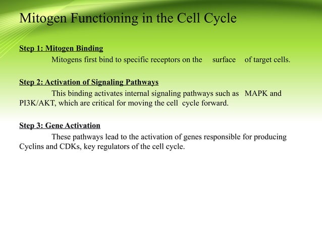 Mitogens plant cellular signaling .pptx