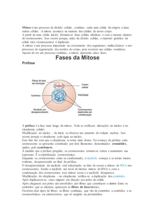 Mitose | DOCX
