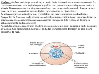 Mitose e meiose | PPTX