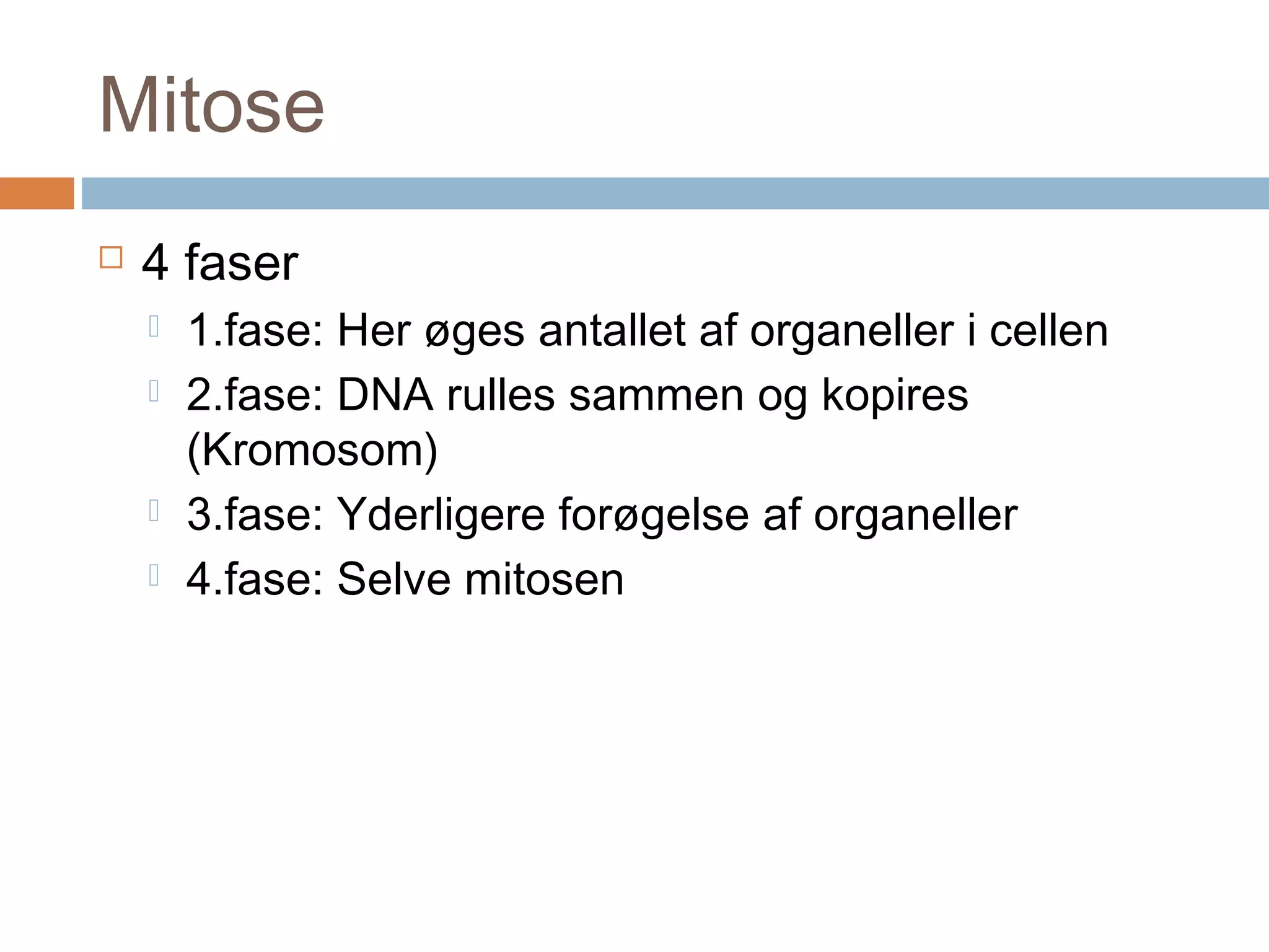 Mitose og meiose | PPT