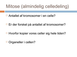 Mitose Og Meiose Ppt
