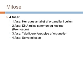 Mitose og meiose | PPT