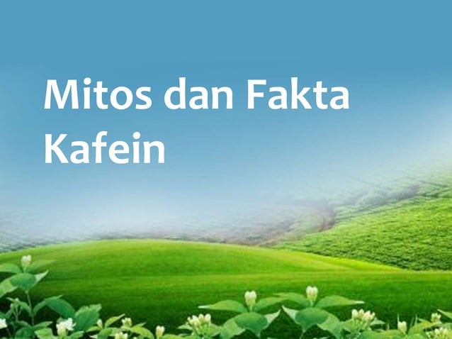 Mitos Dan Fakta Kafein | PPT