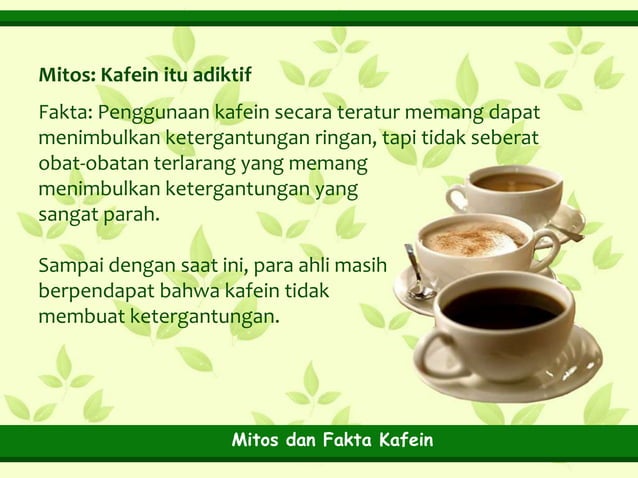 Mitos Dan Fakta Kafein | PPT