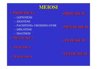 Mitosie meiosi1 | PDF