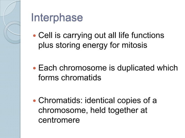 Mitosis | PPT