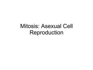 Mitosis | PPT