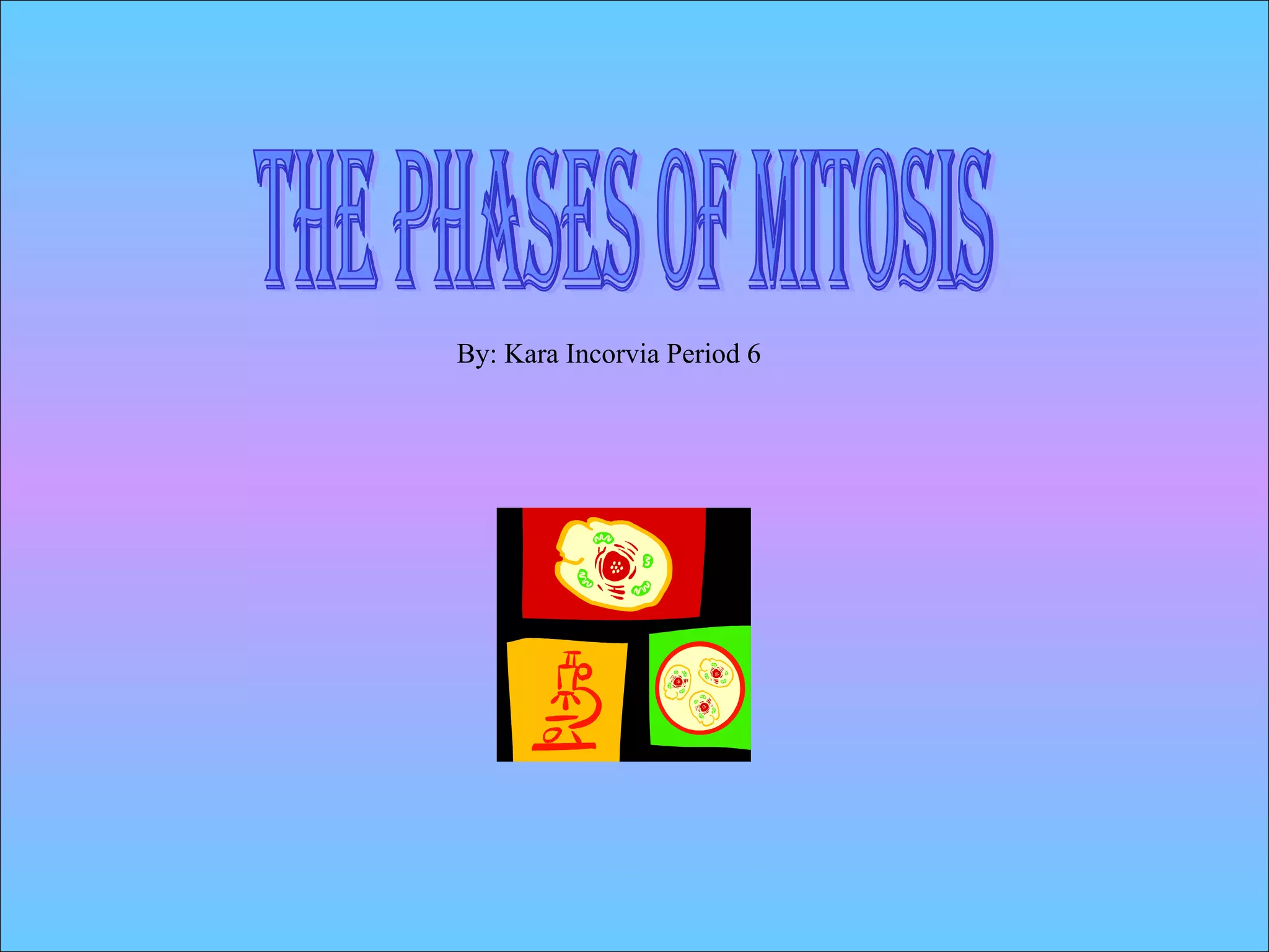 The Phases Of Mitosis | PPT