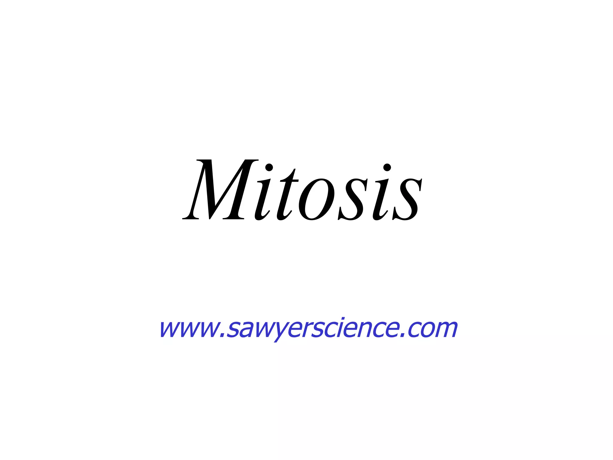 Mitosis | PPT