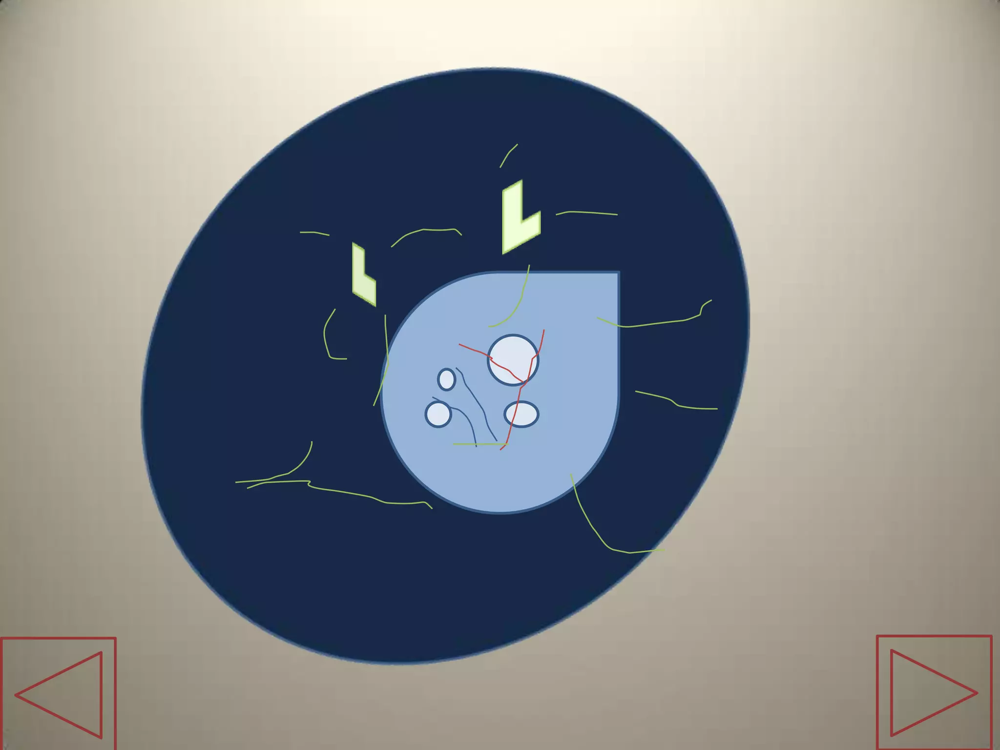 Mitosis Pptx