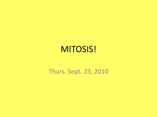 Mitosis | PPTX