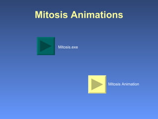 07 Mitosis | PPT