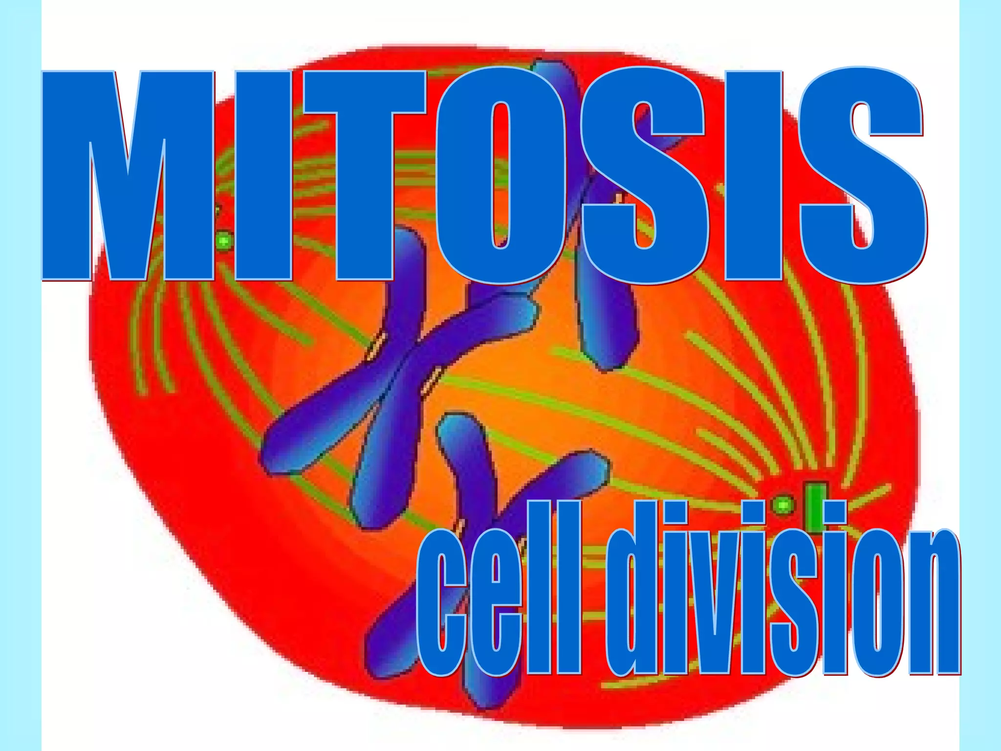 Mitosis.ppt
