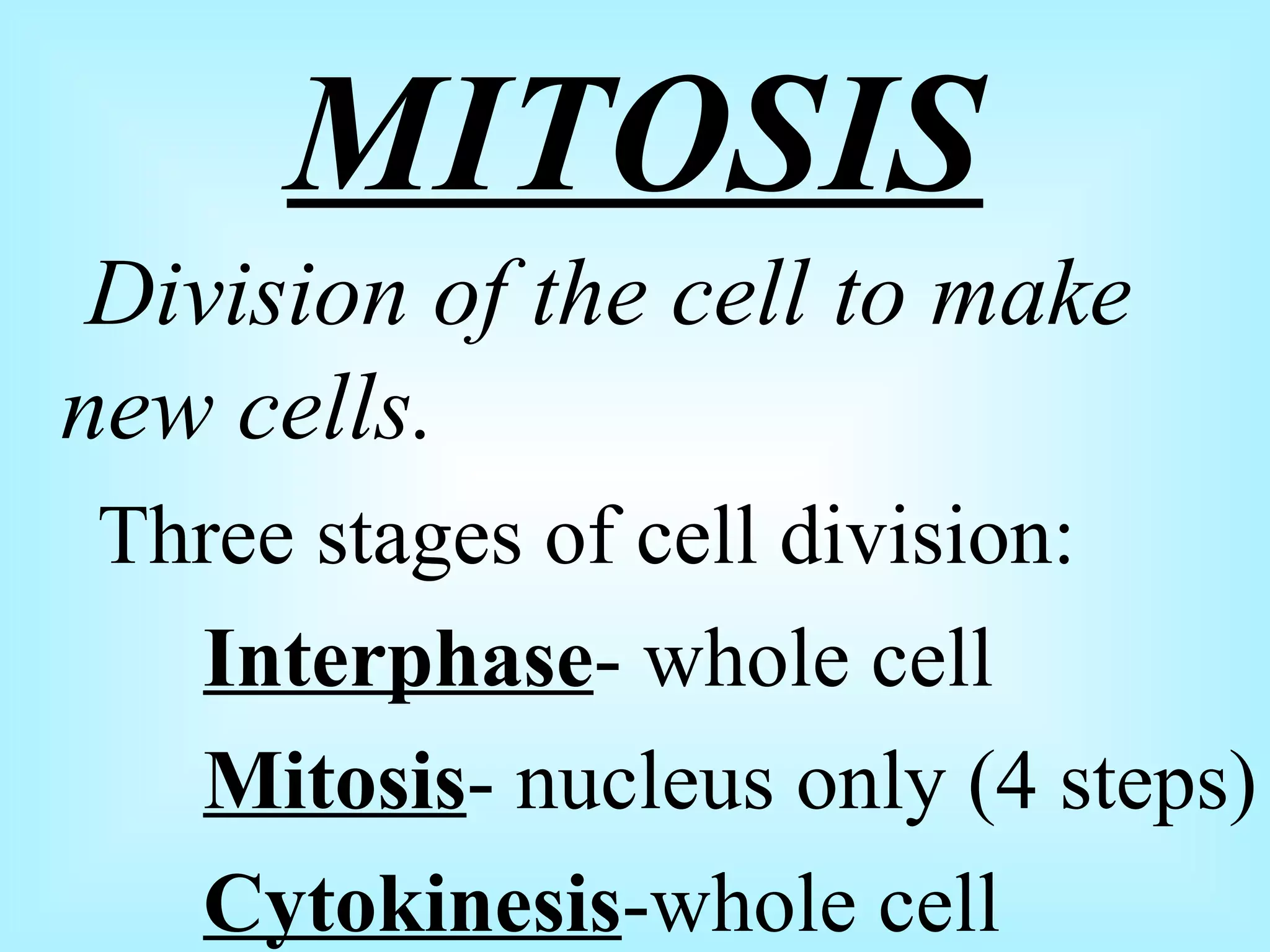 Mitosis.ppt