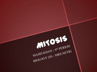 Mitosis Flipbook Powerpoint | PPTX