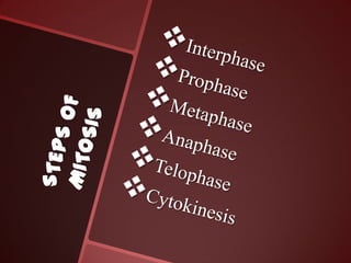 Mitosis Flipbook Powerpoint | PPTX
