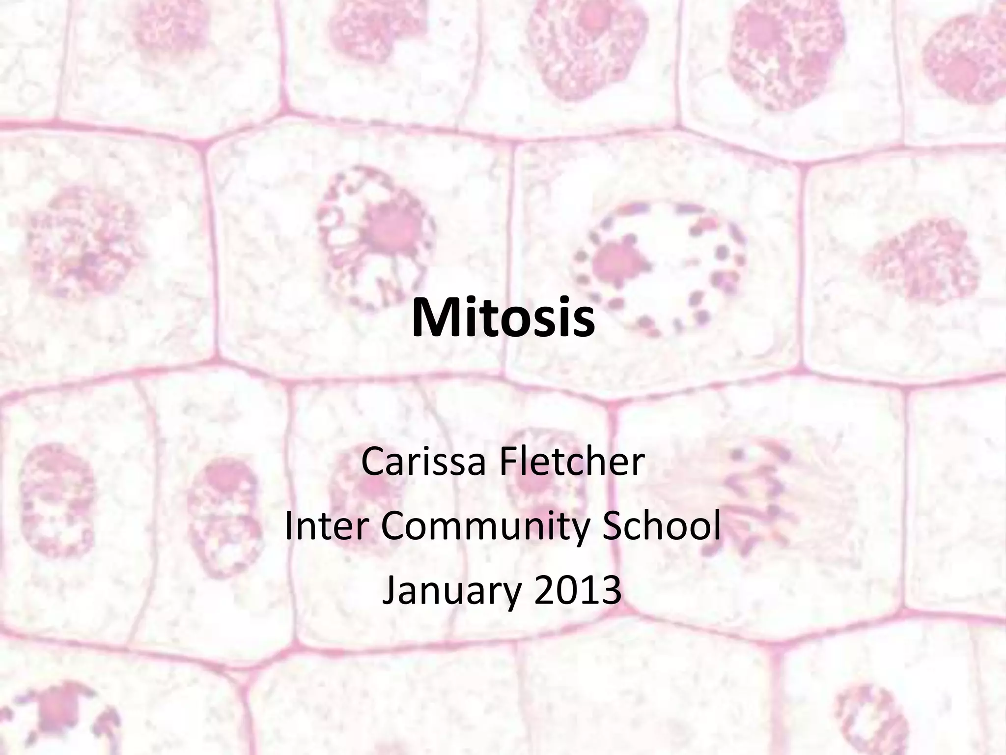 Mitosis | PPTX | Biological Sciences | Science