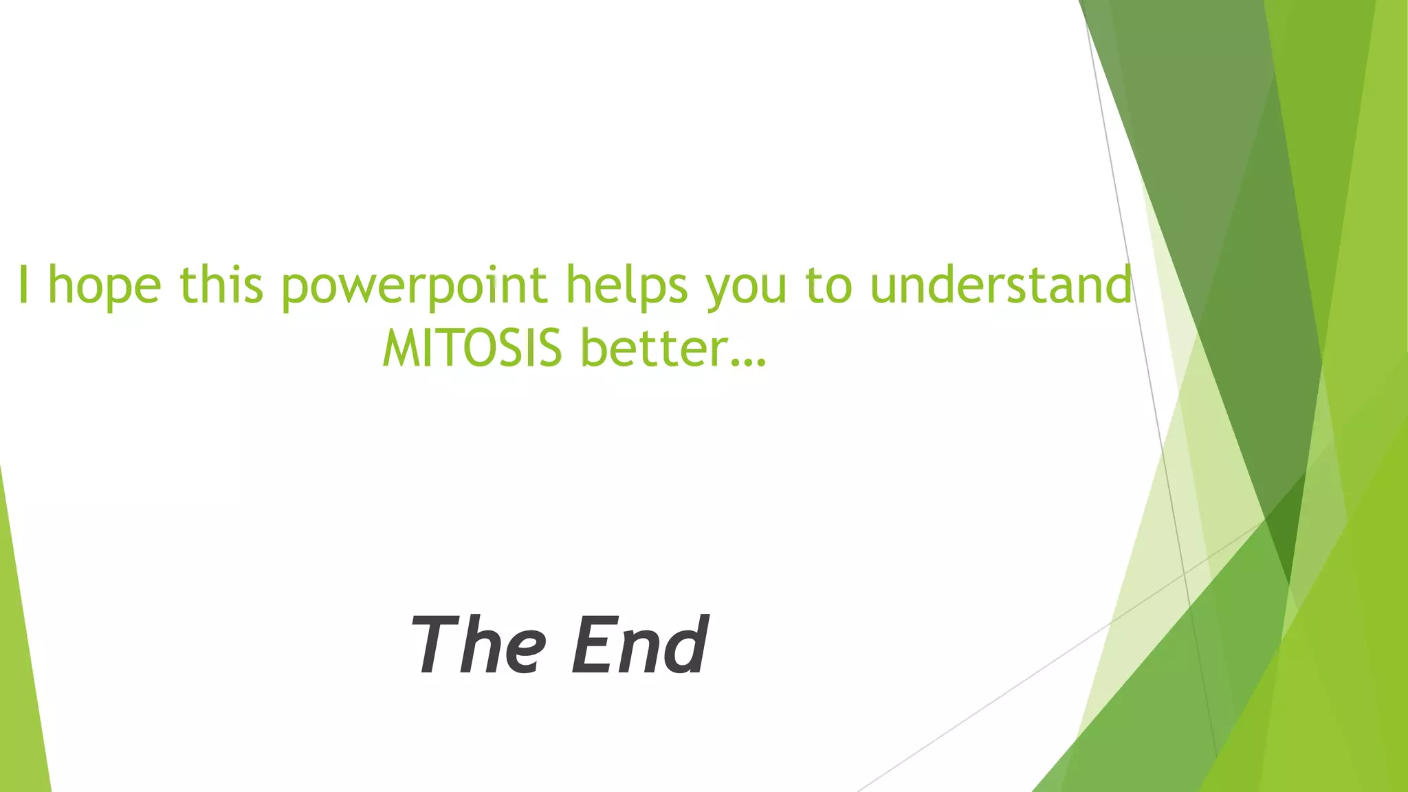 Mitosis | PPT