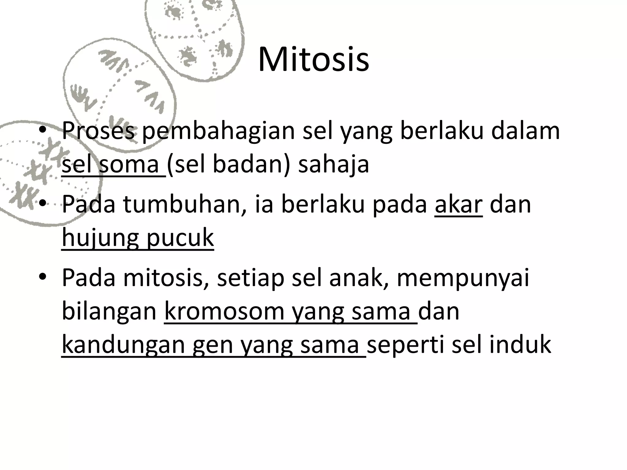Mitosis | PPTX