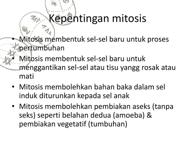 Mitosis | PPTX