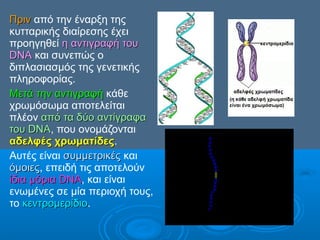 Κυτταρική διαίρεση - Μίτωση | PPT