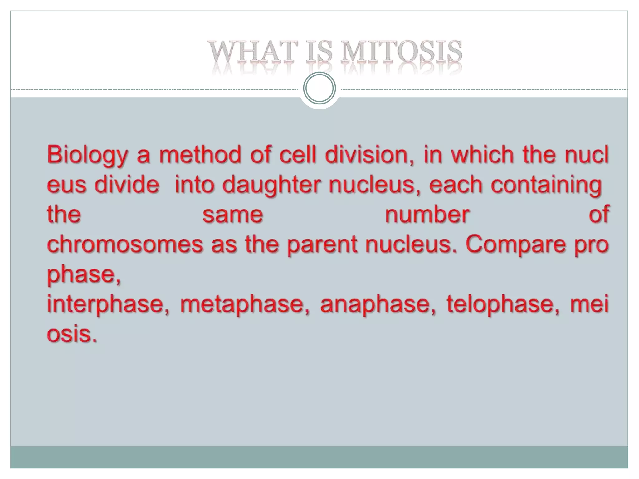 Mitosis | PPT