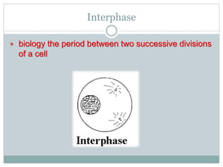 Mitosis | PPT