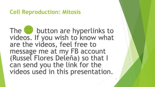 Mitosis | PPTX | Needlework | Arts and Crafts