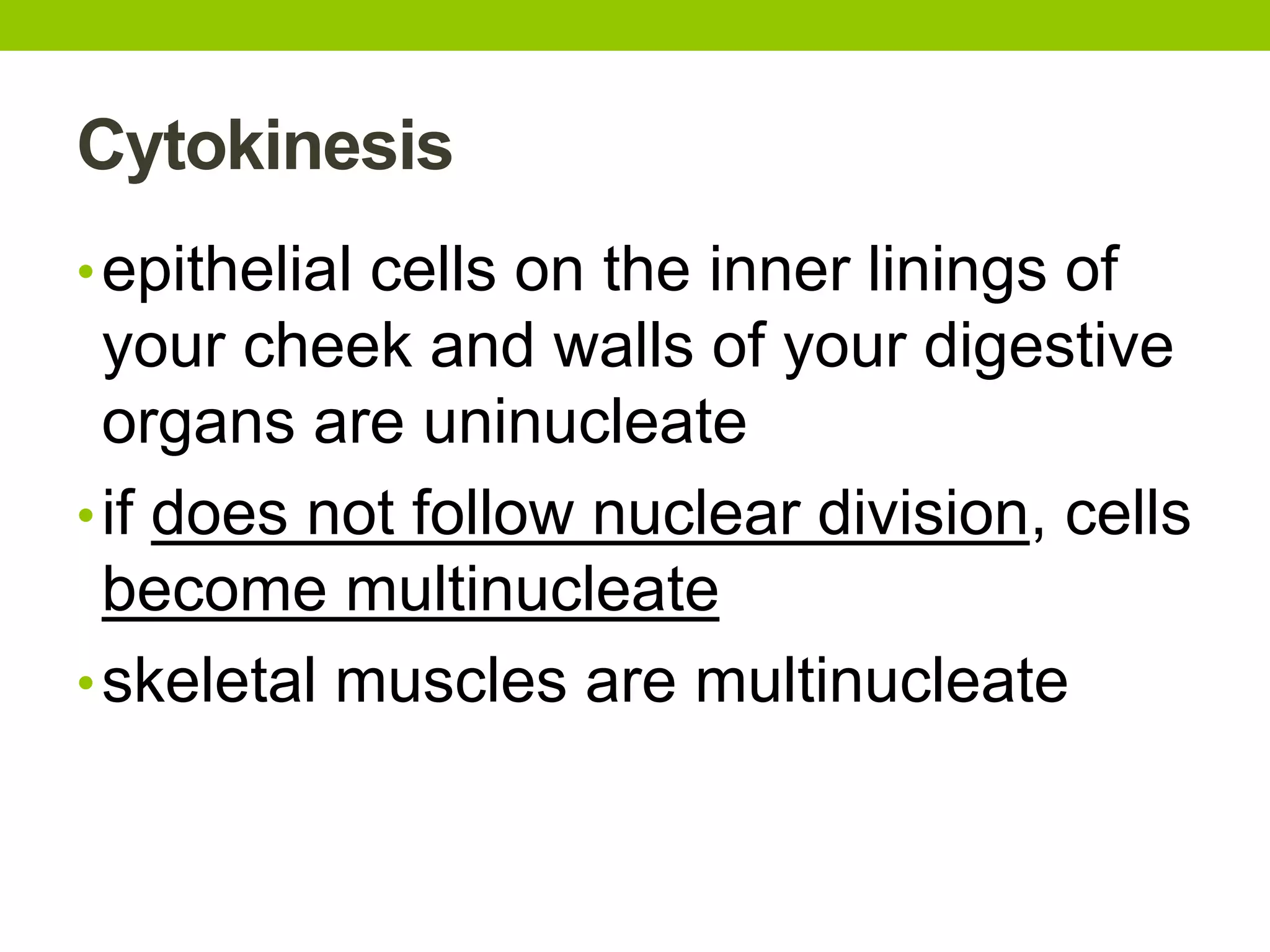 Mitosis | PPTX