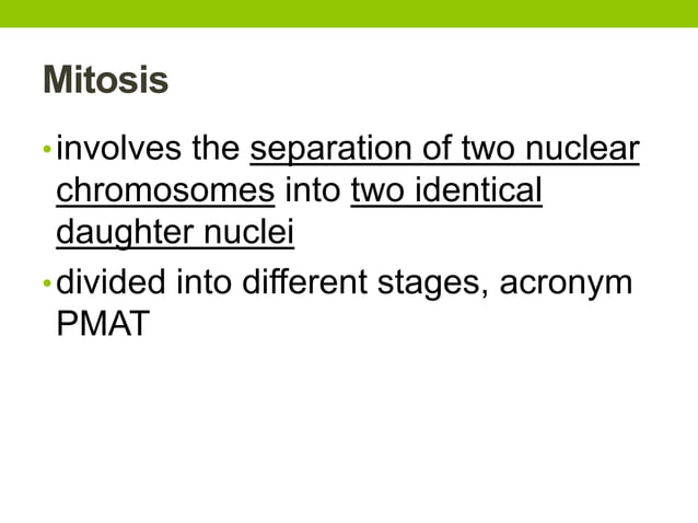 Mitosis | PPTX | Biological Sciences | Science
