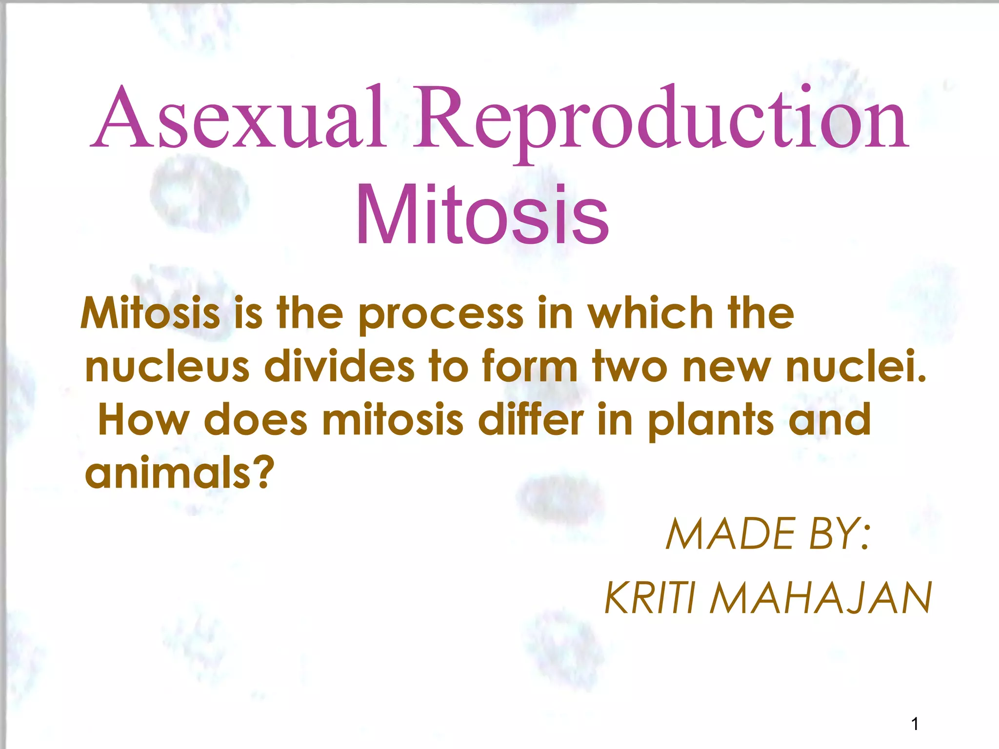 Mitosis | PPT