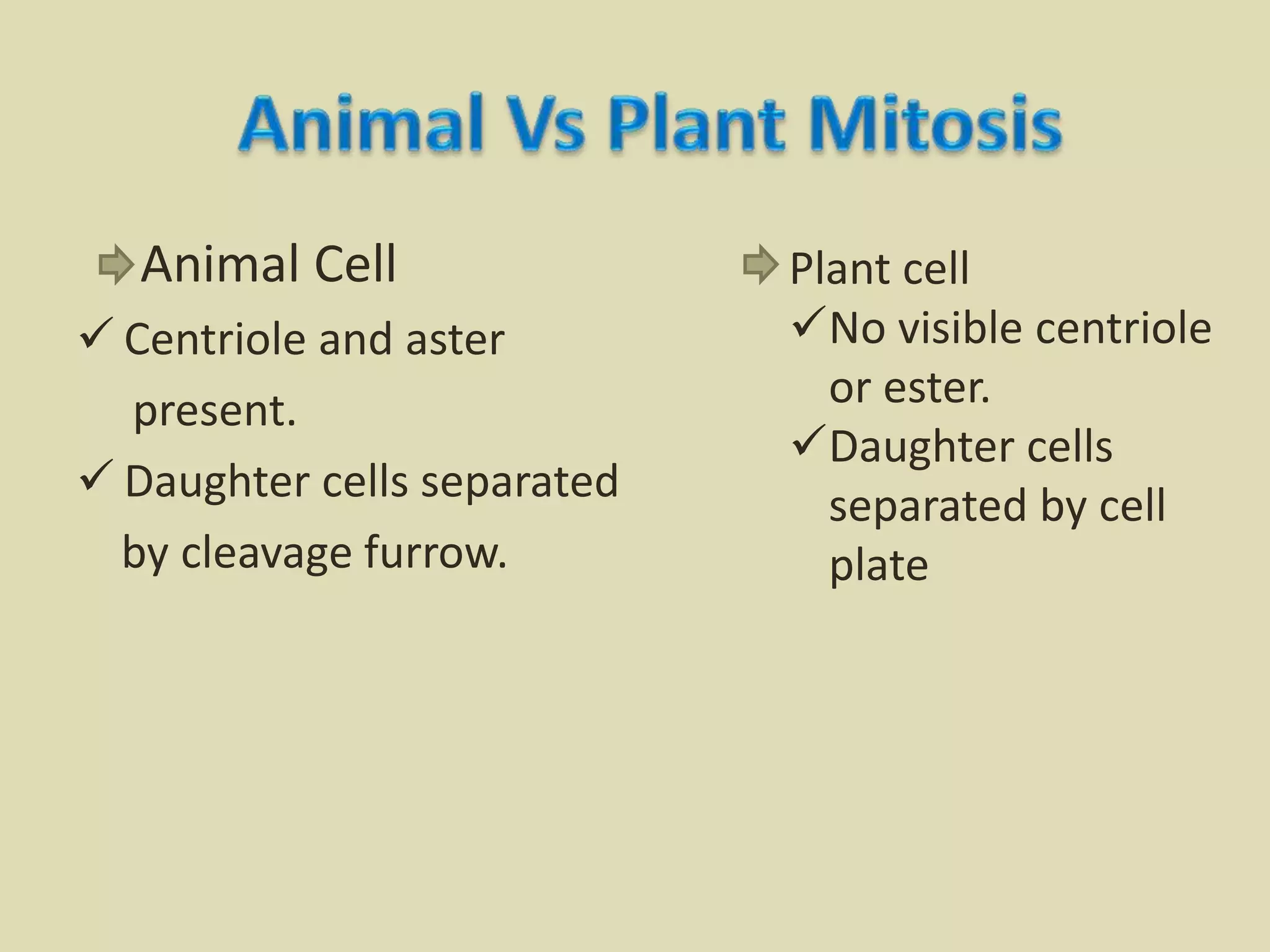 Mitosis | PPTX