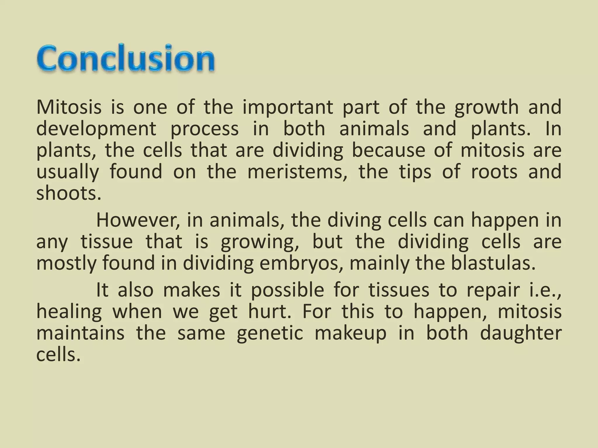 Mitosis | PPTX