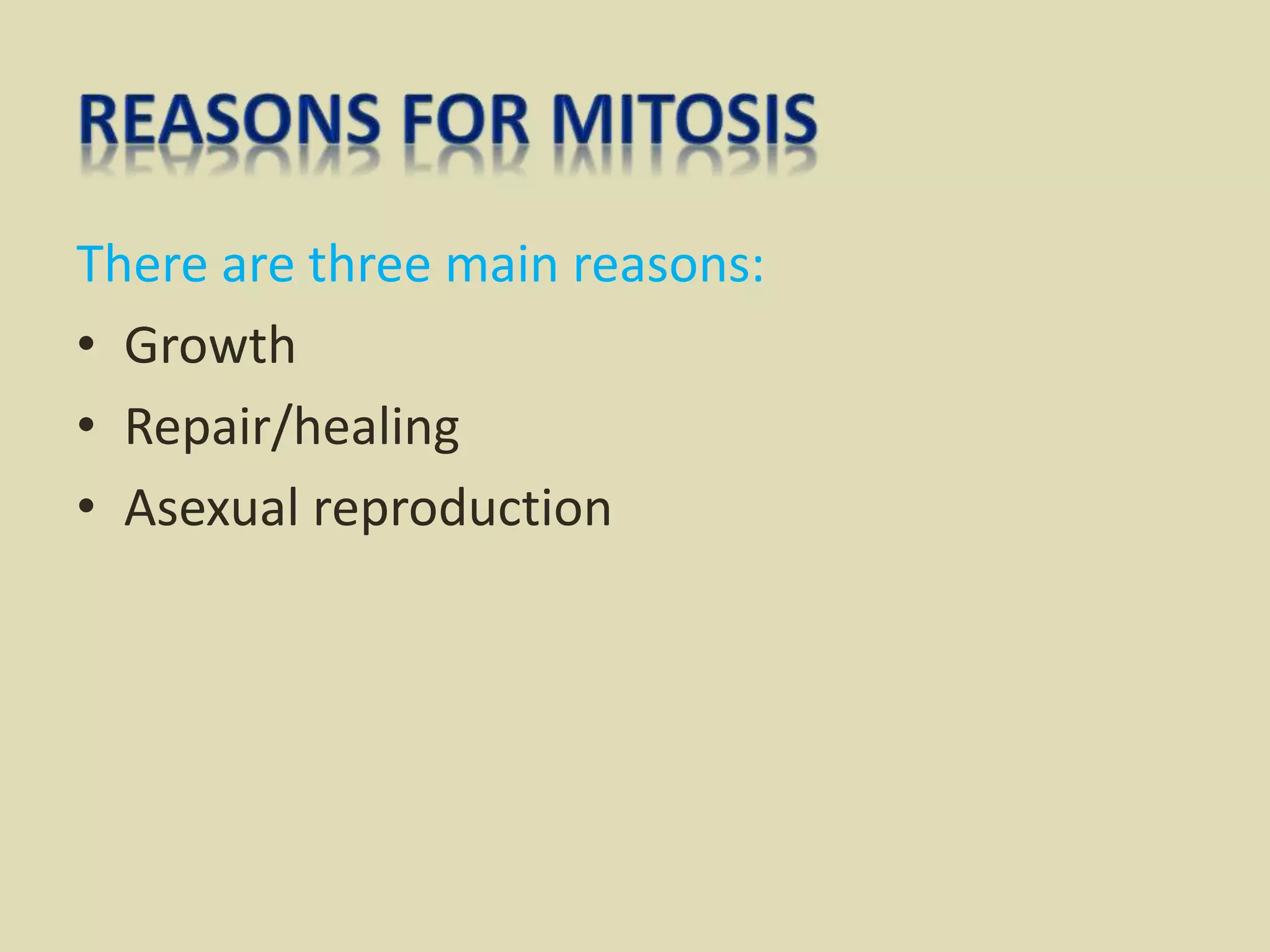 Mitosis | PPTX