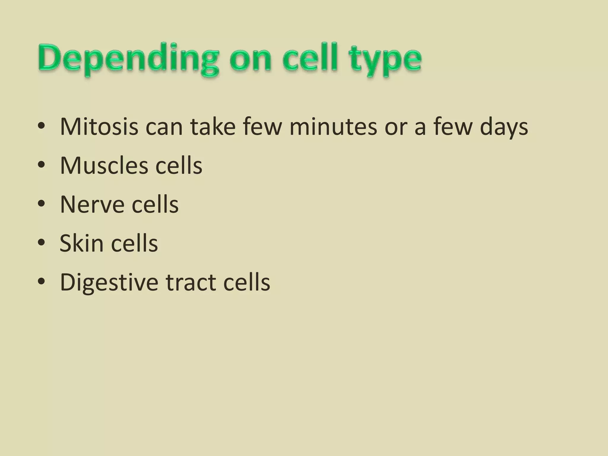 Mitosis | PPTX