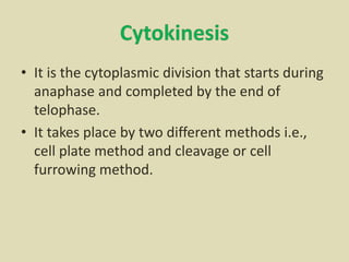 Mitosis | PPTX