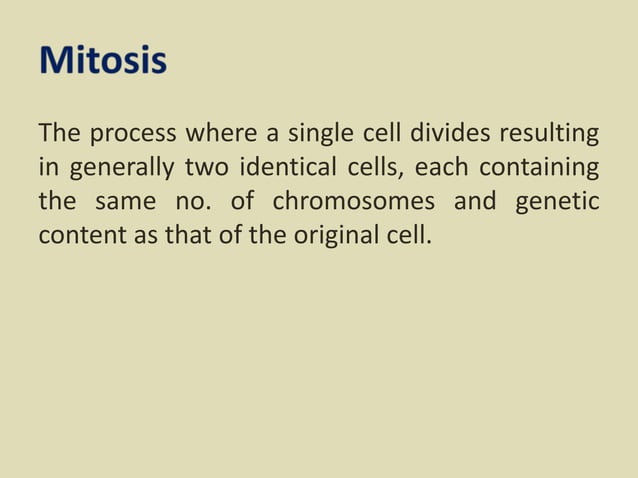 Mitosis | PPTX