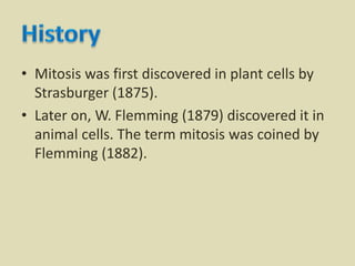 Mitosis | PPTX