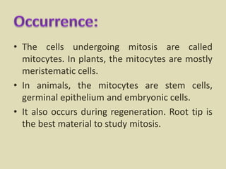 Mitosis | PPTX